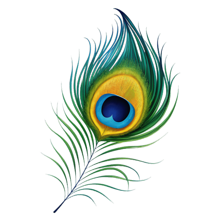 Download Mor Pankh PNG Transparent Image | Arrow PNG
